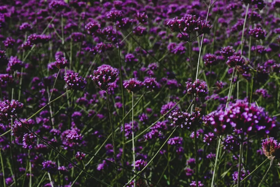 10 Benefits of Professional Mulch Installation for Your Garden - yardudes